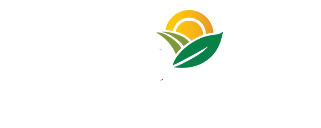ADEY - Agricultural Transformation Institute
